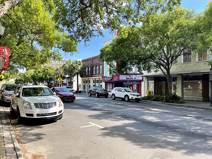 Downtown Valdosta's tree-lined streets offer that perfect blend of Southern charm and modern convenience. Social Security stretches further when surrounded by such beauty.