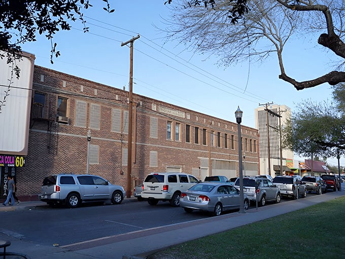 Palm trees line McAllen's Bicentennial Avenue, where sunshine is practically a year-round resident. The perfect backdrop for your "Look at me now, snowbirds!" selfies.