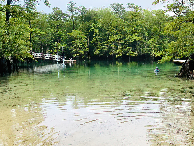 Nature's own infinity pool! Ancient cypress trees stand guard over waters so blue they make the Caribbean look like it needs a color upgrade.