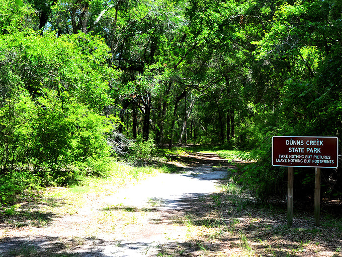 Nature's own cathedral of stone and sky. The rugged landscape offers a surprising contrast to Florida's typical flat terrain.