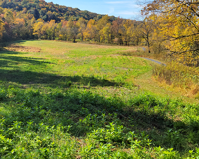 The parking area welcomes you with that "we're not trying too hard" charm that makes great places even better.
