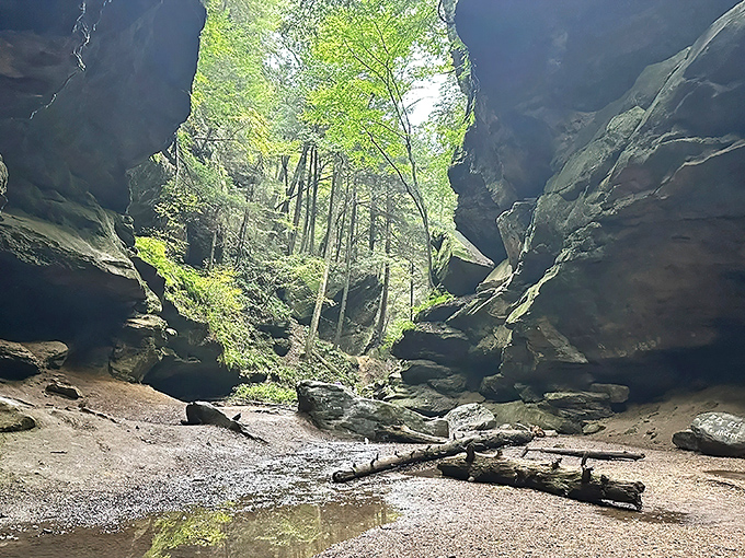 Nature's amphitheater puts on quite a show here, with twin waterfalls cascading down moss-covered cliffs while sunlight filters through the canopy above.