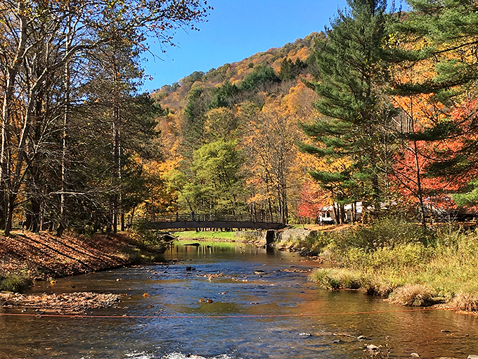 Kettle Creek winds through Ole Bull like nature's own masterpiece, painting the forest in autumn hues that would make Bob Ross reach for his palette.