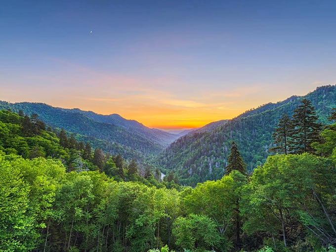 Mother Nature showing off at sunset like it's her personal Instagram account. Tennessee's valleys unfold in layers of blue-green magic that would make Bob Ross weep with joy.