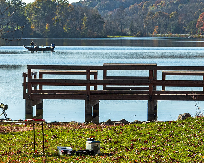 Colorful kayaks stand at attention like eager summer campers, ready for adventure on Holman Lake's inviting waters.