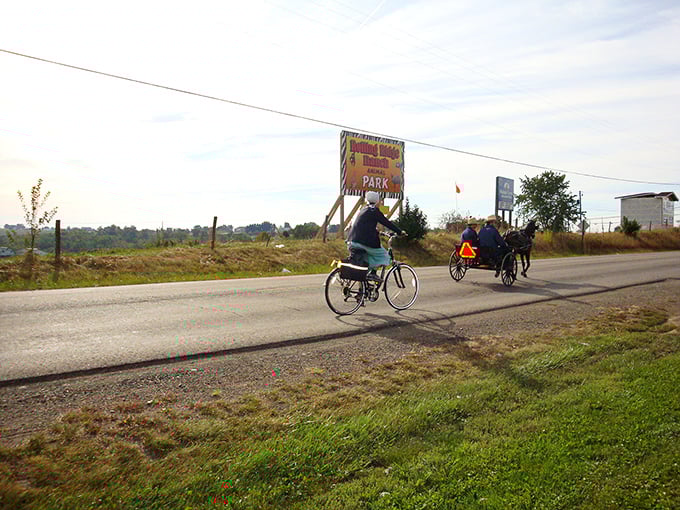 Where worlds collide: An Amish buggy waits patiently outside Walmart, perfectly capturing Millersburg's unique blend of traditional values and modern convenience.
