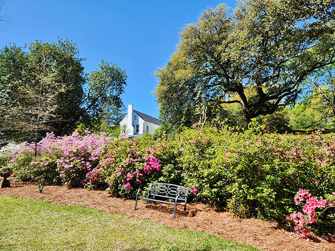 The Thomas E. Hart House stands like a Southern gentleman in a white suit, welcoming visitors with its classic wraparound porch and timeless charm.