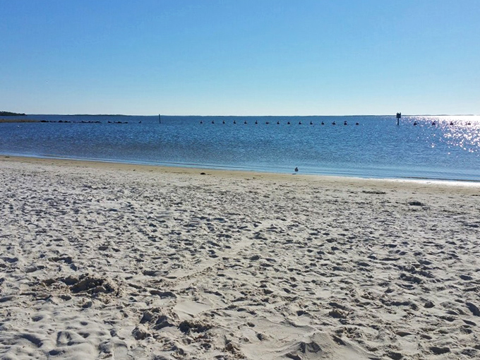 Dramatic storm clouds create a moody backdrop over Fort Island Beach, where the Gulf waters meet pristine shoreline in a perfect Florida moment.