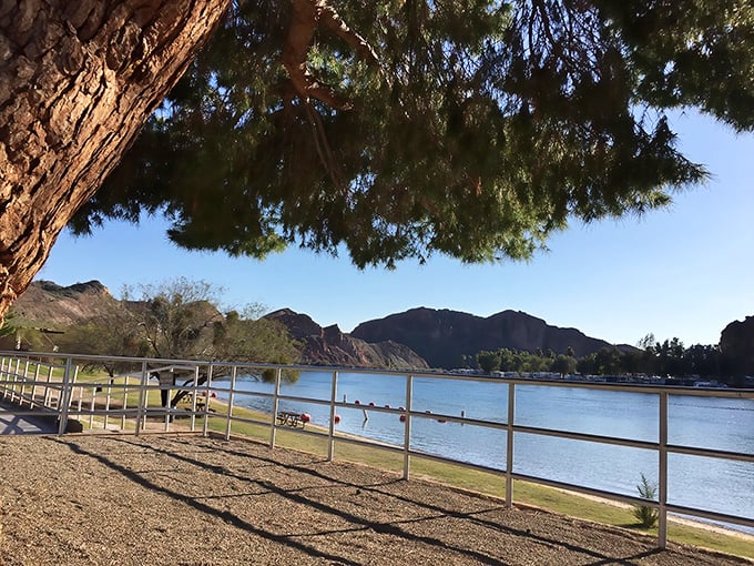 Palm trees and mountain reflections create a postcard-perfect scene that makes Arizona's desert reputation seem wildly inaccurate.