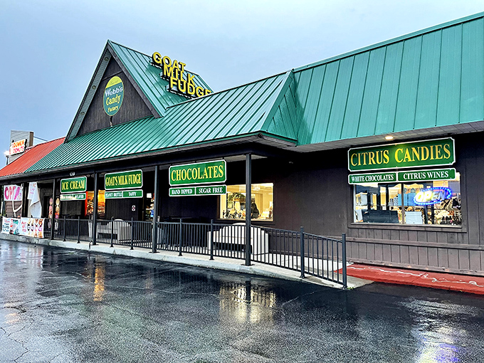 The iconic A-frame building of Webb's Candy stands like a sweet mirage on the Florida landscape, promising goat milk fudge and citrus delights inside.