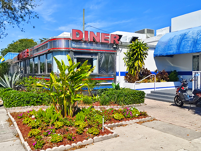 The gleaming chrome exterior and bold red signage of Jack's Hollywood Diner stands like a time capsule of American nostalgia, surrounded by Florida's lush tropical landscaping.
