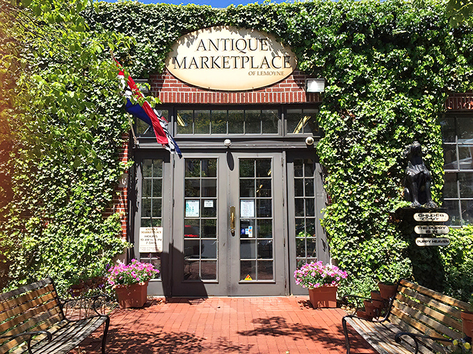 The ivy-embraced facade feels like stumbling upon a secret garden that happens to sell history. Nature and nostalgia in perfect harmony.