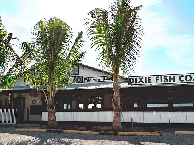Old Florida charm meets seafood paradise. Palm trees stand guard outside Dixie Fish Company, where the "Wholesale & Retail" sign hints at seriously fresh catches.