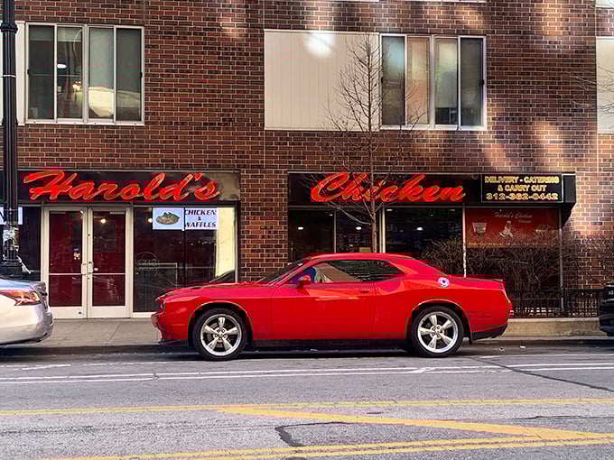 The iconic Harold's storefront with its unmistakable red lettering and chef-chasing-chicken logo promises fried poultry paradise within those brick walls.