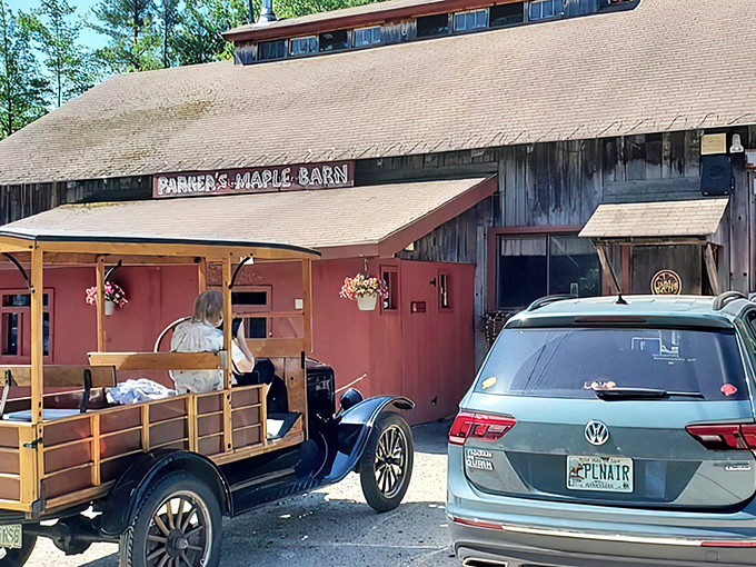 The iconic red facade of Parker's Maple Barn stands as a beacon of breakfast hope among New Hampshire's majestic pines. 