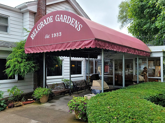 The iconic burgundy awning welcomes hungry pilgrims to Belgrade Gardens, where Barberton's fried chicken legacy has been sizzling since 1933.