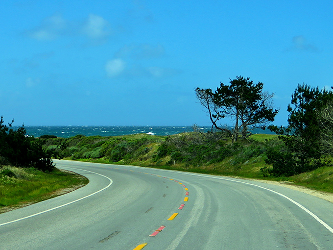Where ocean meets fairway: 17 Mile Drive's winding coastal road offers the kind of views that make convertible owners feel smugly validated in their purchase.