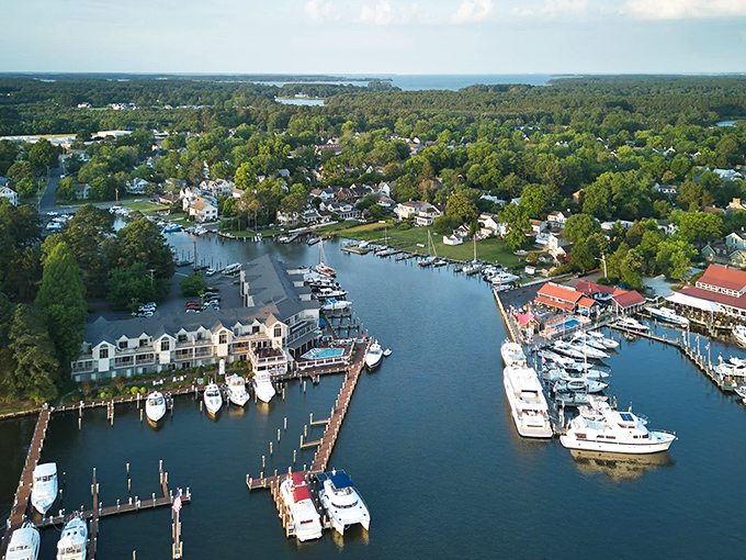 From this bird's-eye view, St. Michaels looks like someone spilled a perfect model village between forest and water, complete with toy boats that actually float.