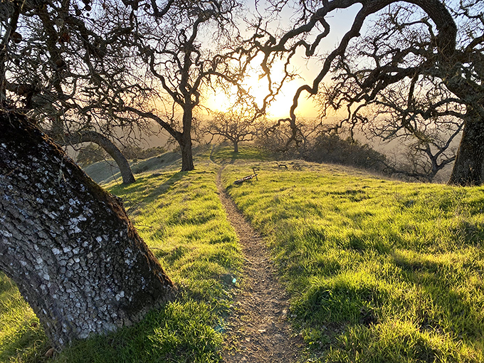 Rolling hills stretch to the horizon like nature's own screensaver, with a lone hiker reminding us that some paradises are meant to be explored on foot.