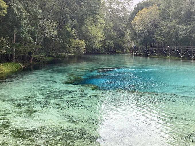 Mother Nature's swimming pool comes with its own filtration system. The crystalline blue waters at Gilchrist Springs make the Caribbean look like a muddy puddle.