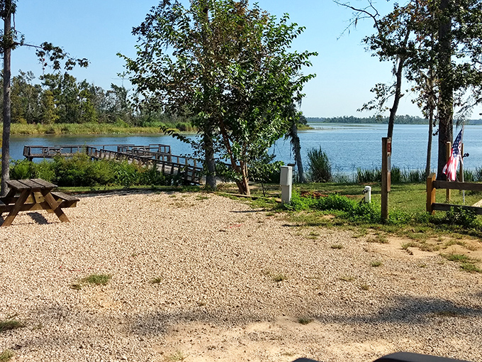 Nature's perfect picnic spot awaits with a lakeside view that makes even smartphone addicts forget to check their notifications. 