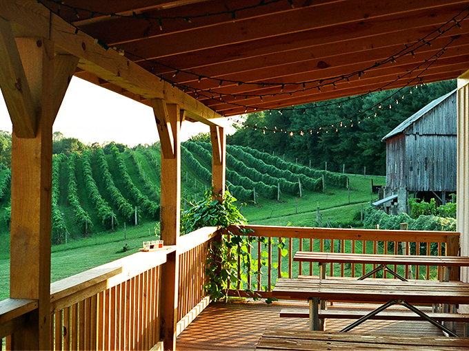 The white farmhouse winery stands proudly against the blue Ohio sky, its wraparound deck practically begging you to sit a spell with something chilled and delicious.
