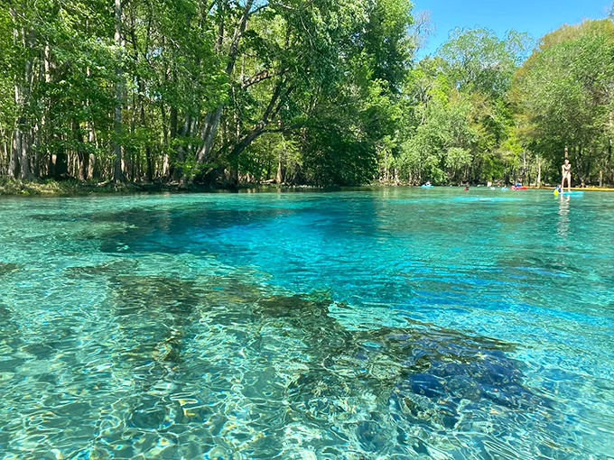Mother Nature's swimming pool comes with its own filtration system. The crystalline blue waters at Gilchrist Springs make the Caribbean look like a muddy puddle.