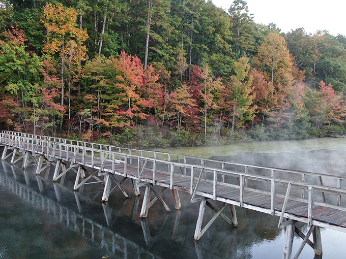 Mother Nature showing off at sunset like it's her personal Instagram account. Tennessee's valleys unfold in layers of blue-green magic that would make Bob Ross weep with joy.