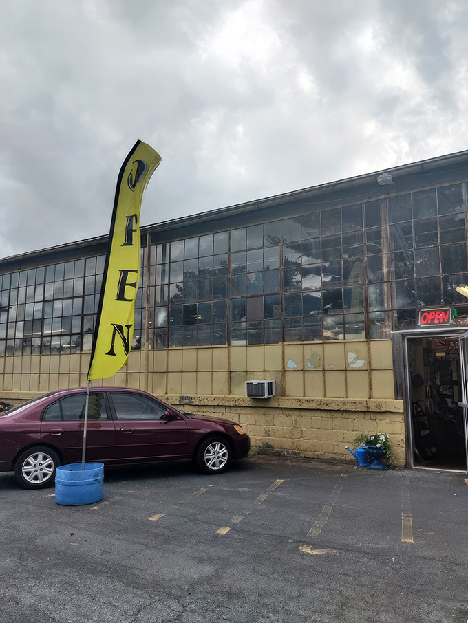 Treasure islands as far as the eye can see! Aisles of carefully curated collectibles create a maze of possibilities for the curious explorer.