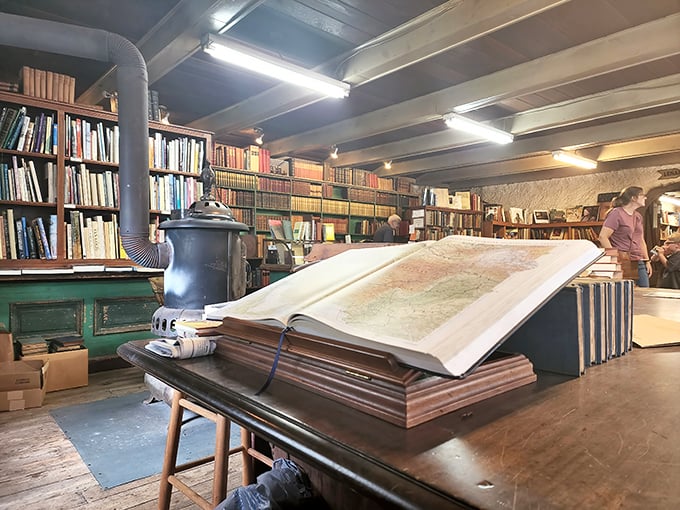 An open atlas beckons explorers while shelves stretch to infinity. At Baldwin's, every book is a doorway to another world.