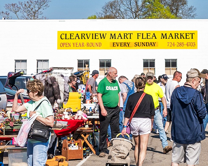 The aerial view reveals BFM Marketplace's sprawling wonderland of treasures, where one person's castoffs become another's prized discoveries.