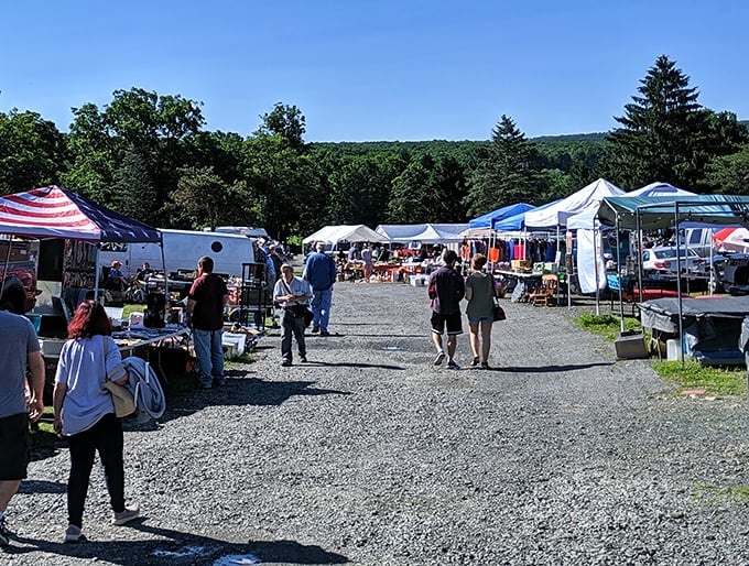 Treasure hunters navigate the gravel pathways between colorful vendor tents, where one person's castoffs become another's prized discoveries.