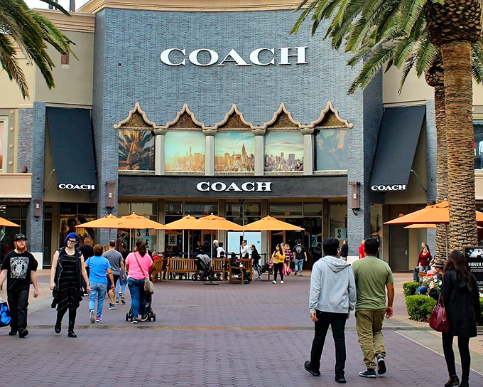 The iconic Coach store stands as a blue beacon of hope for bargain hunters, palm trees swaying as shoppers navigate their retail pilgrimage.