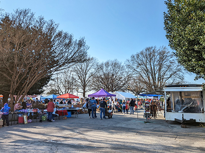 The treasure hunter's paradise unfolds under Carolina blue skies, where colorful canopies mark spots where ordinary objects transform into extraordinary finds.