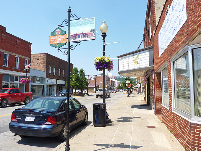Downtown Buckhannon's historic facades aren't just pretty faces&mdash;they're living, breathing businesses where locals actually shop. No empty storefronts masquerading as small-town charm here.
