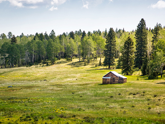 Where heaven meets earth: Mueller State Park's panoramic vistas make you feel like you've stumbled onto a movie set where clouds dance below mountaintops.