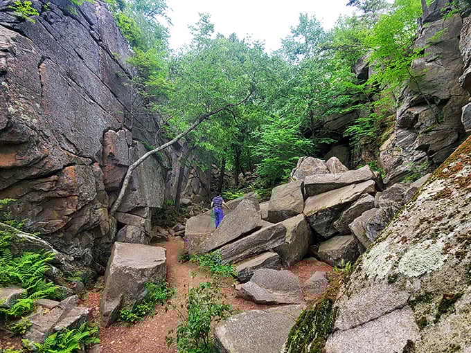 Clamber over giant boulders and discover hidden caves as you explore the dramatic rock formations at Purgatory Chasm State Reservation.
