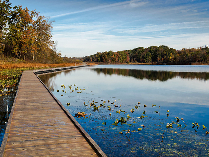 Mirror-like waters reflect autumn's fiery palette at Punderson Lake, where nature doubles its show for free. Mother Nature showing off again! 