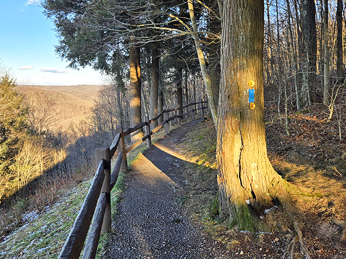 The rocky shores of Loyalsock Creek invite you to dip your toes or skip stones. Nature's playground doesn't come with instructions, just endless possibilities.