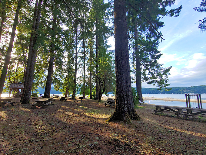 Where forest meets shoreline in perfect harmony. Towering evergreens stand guard over picnic tables, with Hood Canal's inviting waters just steps away.