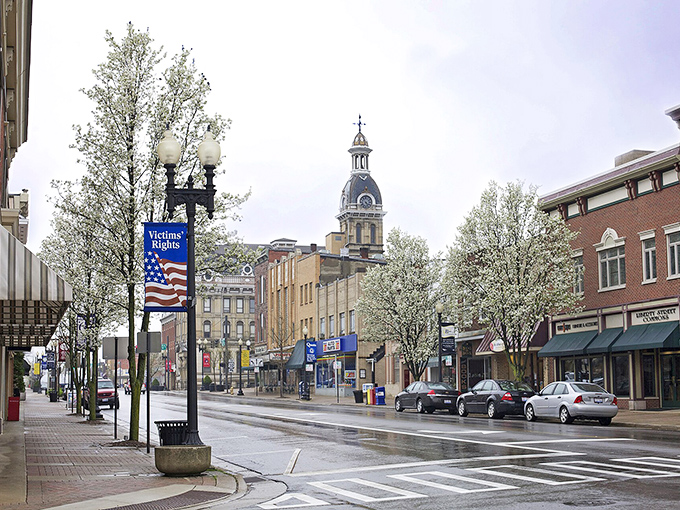 Downtown Wooster captures that perfect small-town magic &ndash; historic architecture, flowering trees, and a courthouse that looks like it belongs in a Norman Rockwell painting.