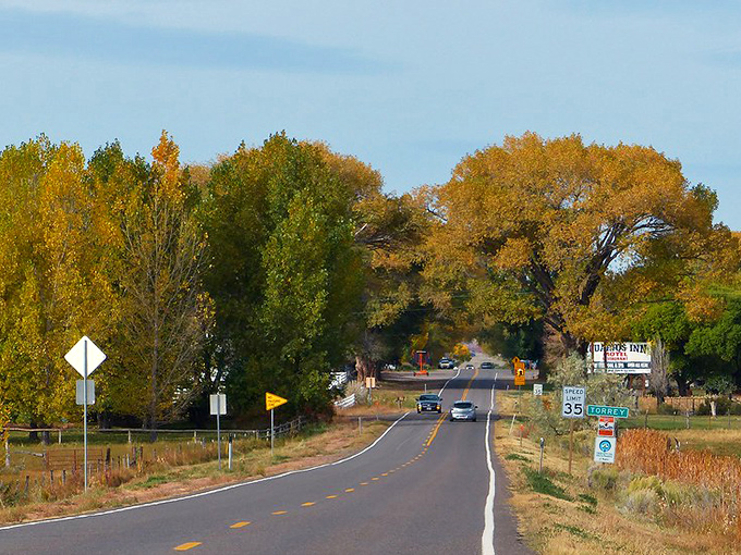 The cottonwood corridor of Torrey welcomes you like nature's cathedral. Sunlight filters through the leafy canopy, creating a dappled pathway to adventure.