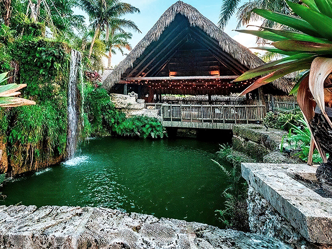 Palm trees line the path to Schnebly's elegant entrance, where Florida sunshine meets Mediterranean charm. Paradise awaits beyond those doors.