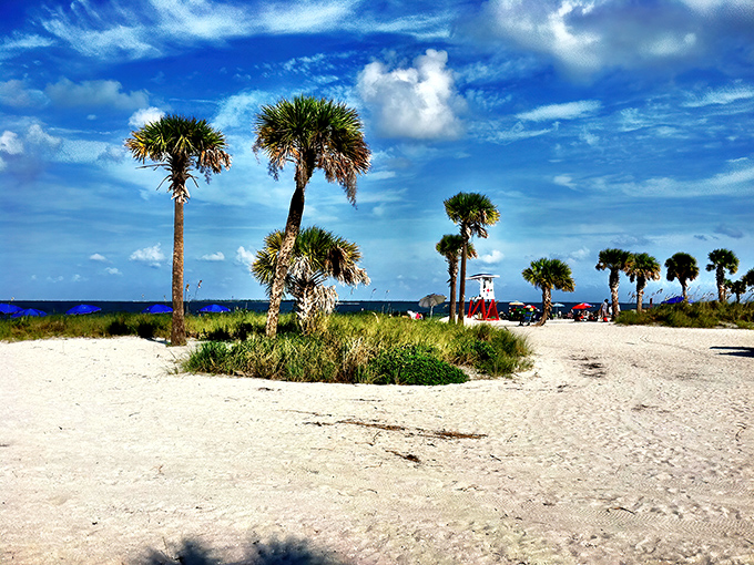 Palm sentinels stand guard over powdery white sand, while the Gulf of Mexico stretches endlessly into a sky that Florida somehow makes bluer than anywhere else.