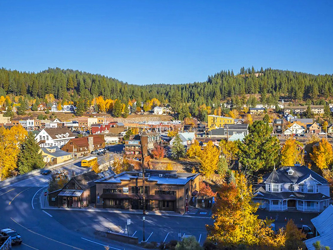 Truckee's autumn splendor on full display, where golden aspens frame historic buildings like nature's own Instagram filter.