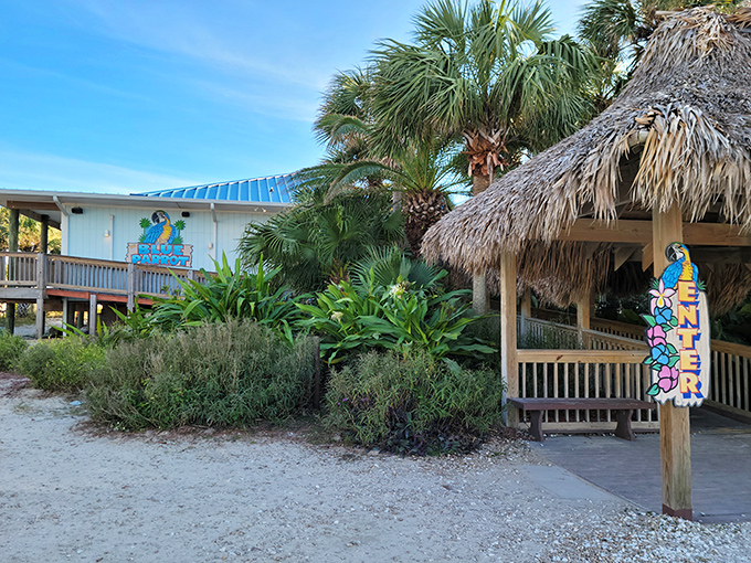The Blue Parrot's beachfront charm beckons with its bright blue roof and thatched tiki hut&mdash;Florida architecture that practically whispers "your office emails can wait."