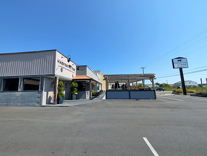 The sign beckons like a lighthouse for hungry souls. At night, Harvest Tide transforms from restaurant to culinary destination worth the pilgrimage.