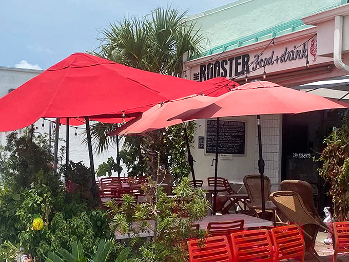 The Rooster's charming exterior with its mint-green roof and vibrant red umbrellas feels like Florida's answer to a cozy Southern porch party.