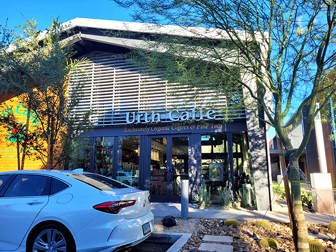 Modern meets cozy at Urth Caffe's Vegas outpost, where even the luxury cars outside seem to pause for a caffeine fix.
