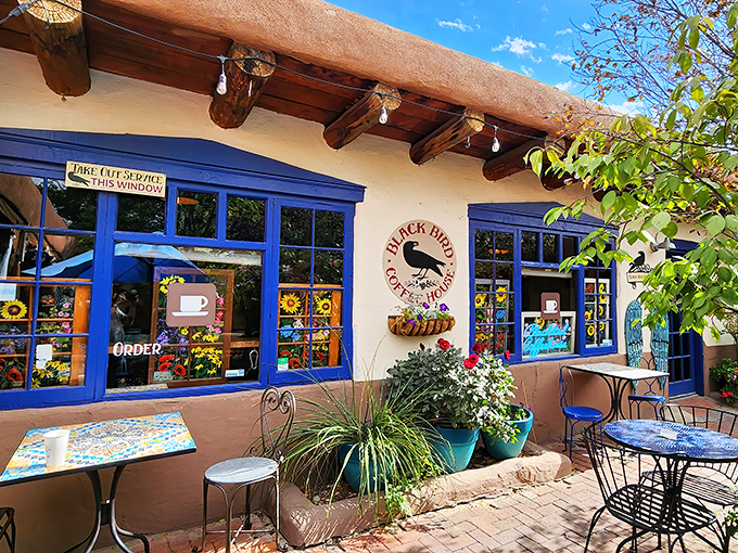 Gateway to caffeine paradise! The iconic entrance to Blackbird Coffee House, where strings of red chile peppers frame the blue door like New Mexico's most delicious welcome mat.